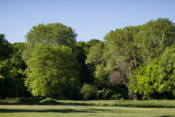 Oppression thoracique liée au stress : Comprendre et gérer